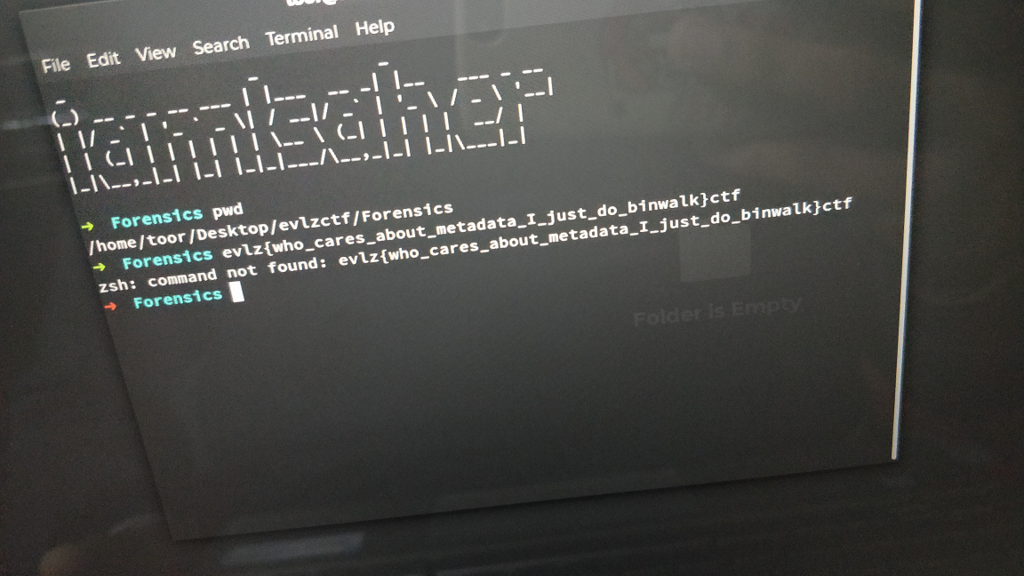 Evlz CTF Writeup - よっちんのブログ