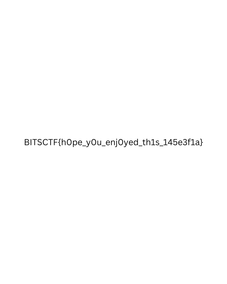 BITSCTF 2025 Writeup - よっちんのブログ
