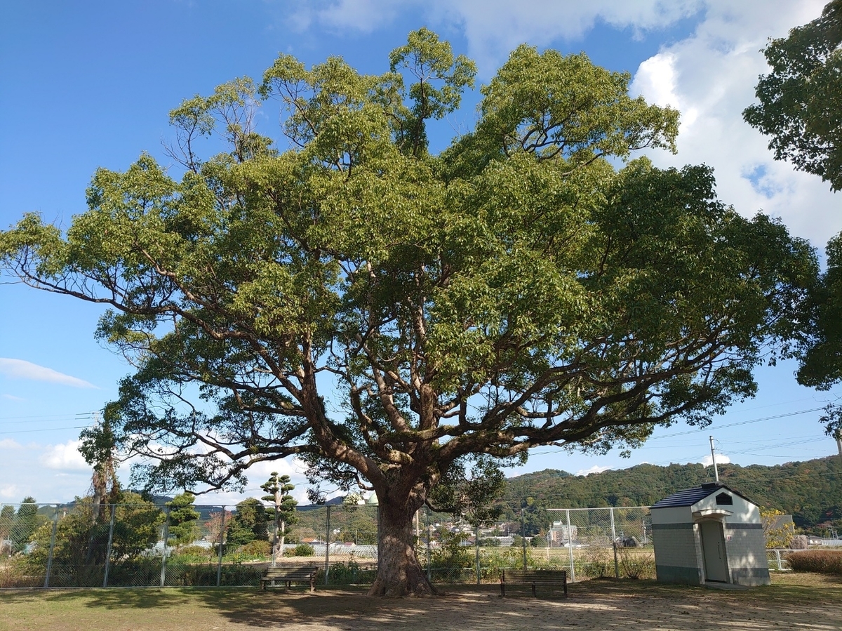 ECC2022観戦日記（女子決勝） - 精十郎日記