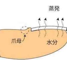 爪がマニキュアで白くなる原因とは？ - 爪がマニキュアで白くなる！変色はツメリッチリペアで治す