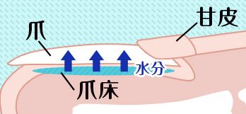 爪がマニキュアで白くなった！保湿しても変色が治らない人へ - 爪がマニキュアで白くなる！変色はツメリッチリペアで治す