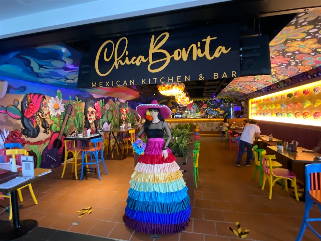 墨 Chica Bonita Publika またマレーシアに住むらしい。今度は猫も。