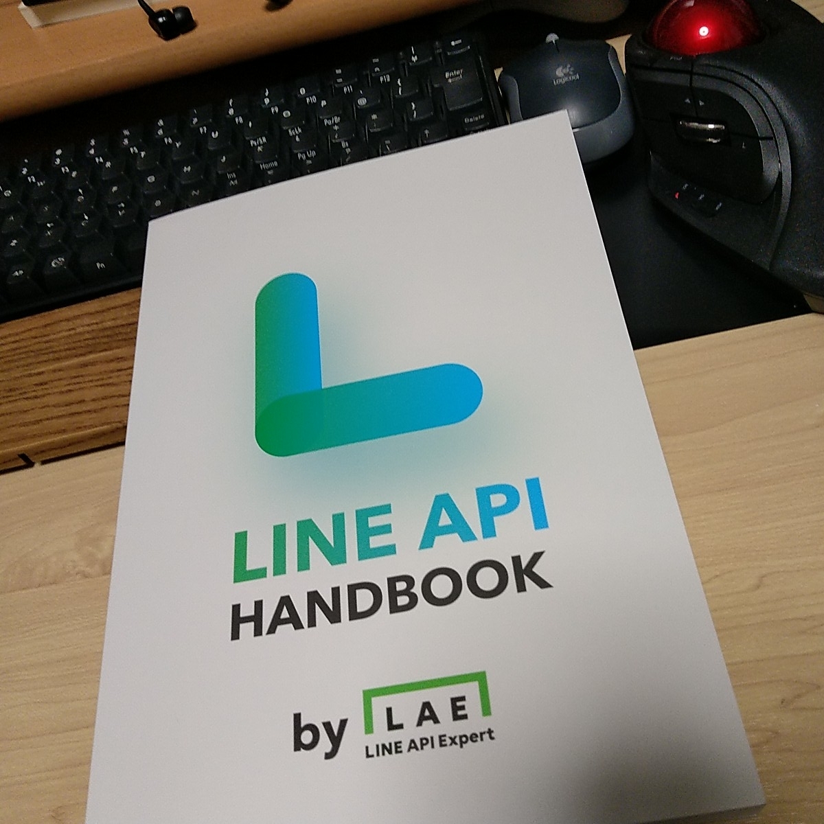 LINE API HANDBOOK !! - Some Days You Get the Bear