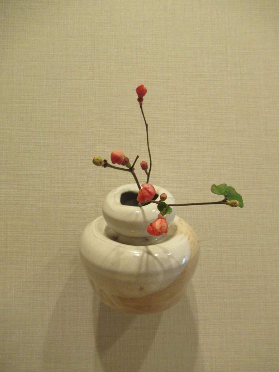 2026二十四節花2 大寒 - 木偶房日日録