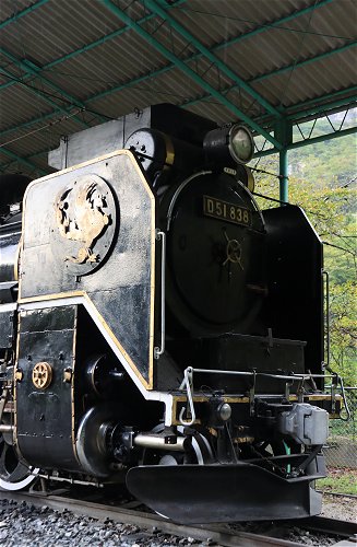 井倉のD51838 - 線路端のブログⅡ