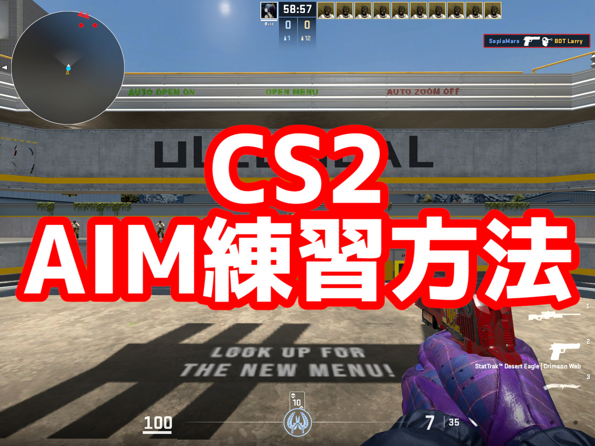 【CS2】AIMの練習方法解説【初心者向け】 - SepiaMarsブログ