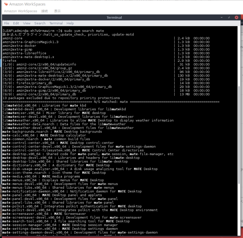 LinuxのWorkSpacesを日本語化チャレンジ！ - サーバーワークスエンジニアブログ