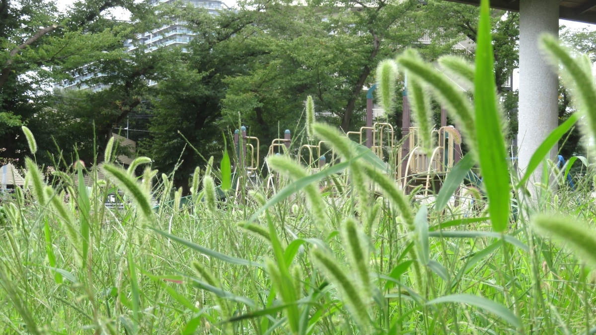 公園・・・ - Setubunso のお散歩日記