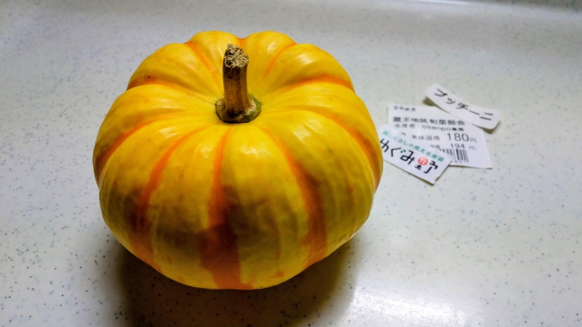 Gemini で遊んでみた - Setubunso のお散歩日記