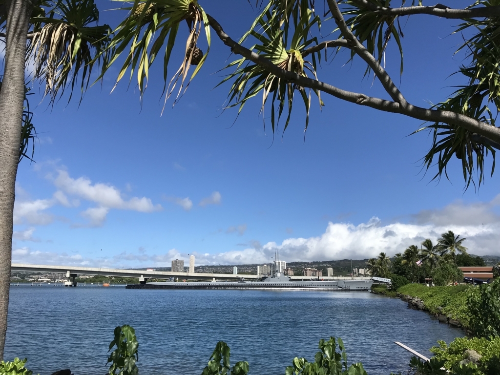 Umi Style of Hawaii🌺 - Shallow Ocean’s diary