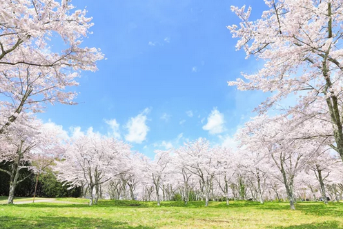 神さまとは？人びとの都合で変えられてしまった？ - Shantra Diary