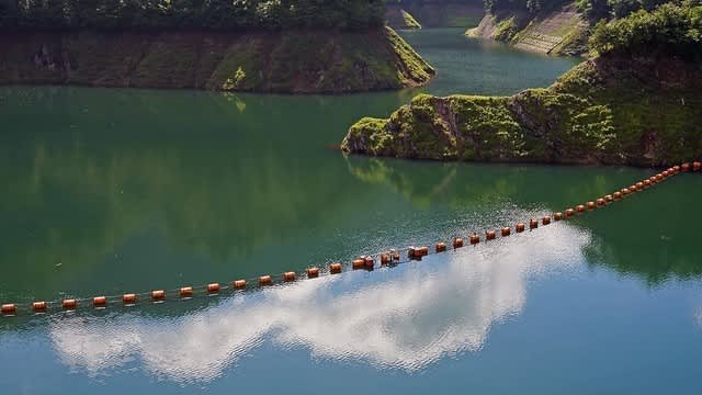 水面に浮かぶブイ - shawtの「今日の一枚」