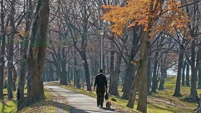 お散歩 - shawtの「今日の一枚」