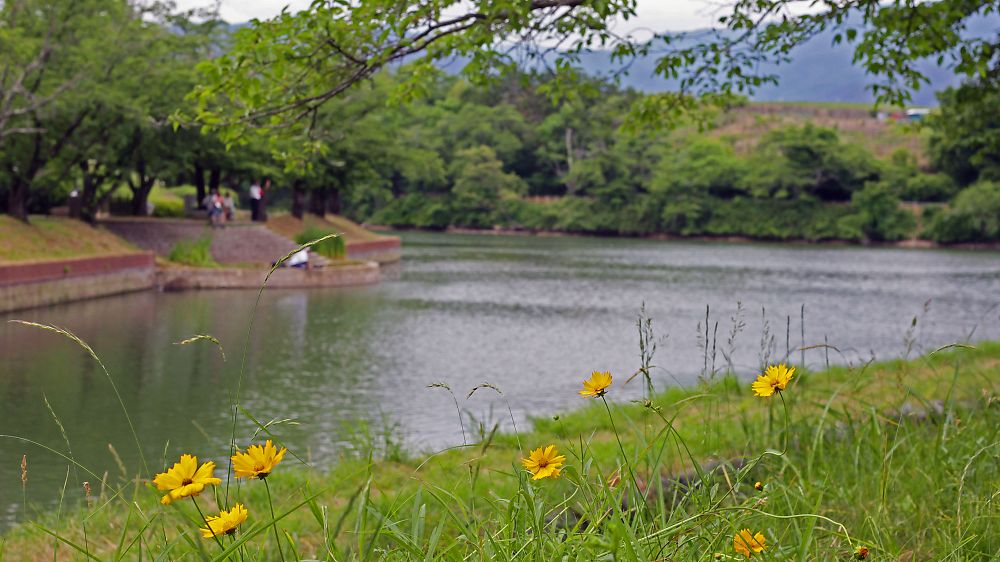 深緑の山上湖風情 - shawtの「今日の一枚」