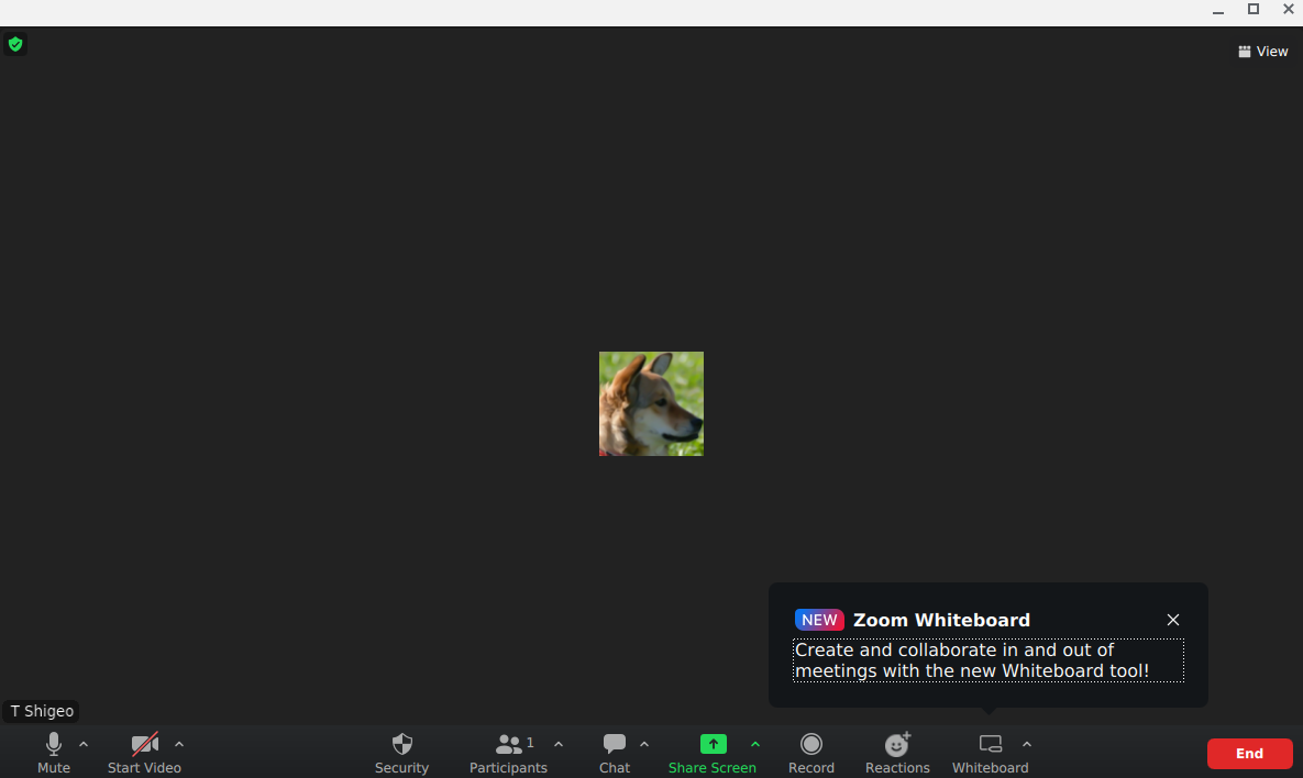 ChromeOS FlexでZoomを動かす - いろいろやってみるにっき
