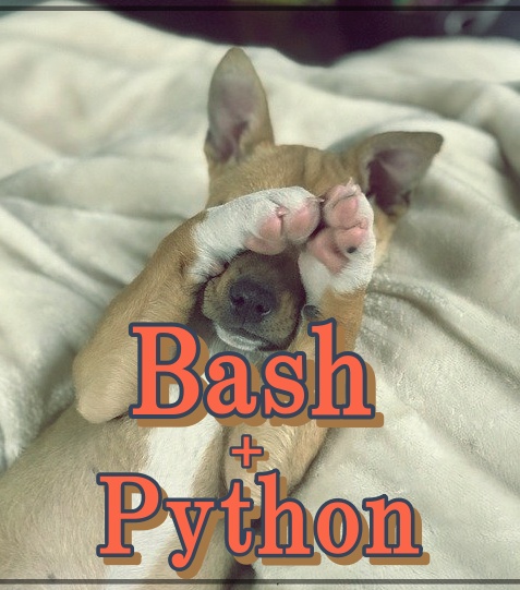 【実行ログ】Bash を使って色々なことを試してみよう - shinoblog-manabu