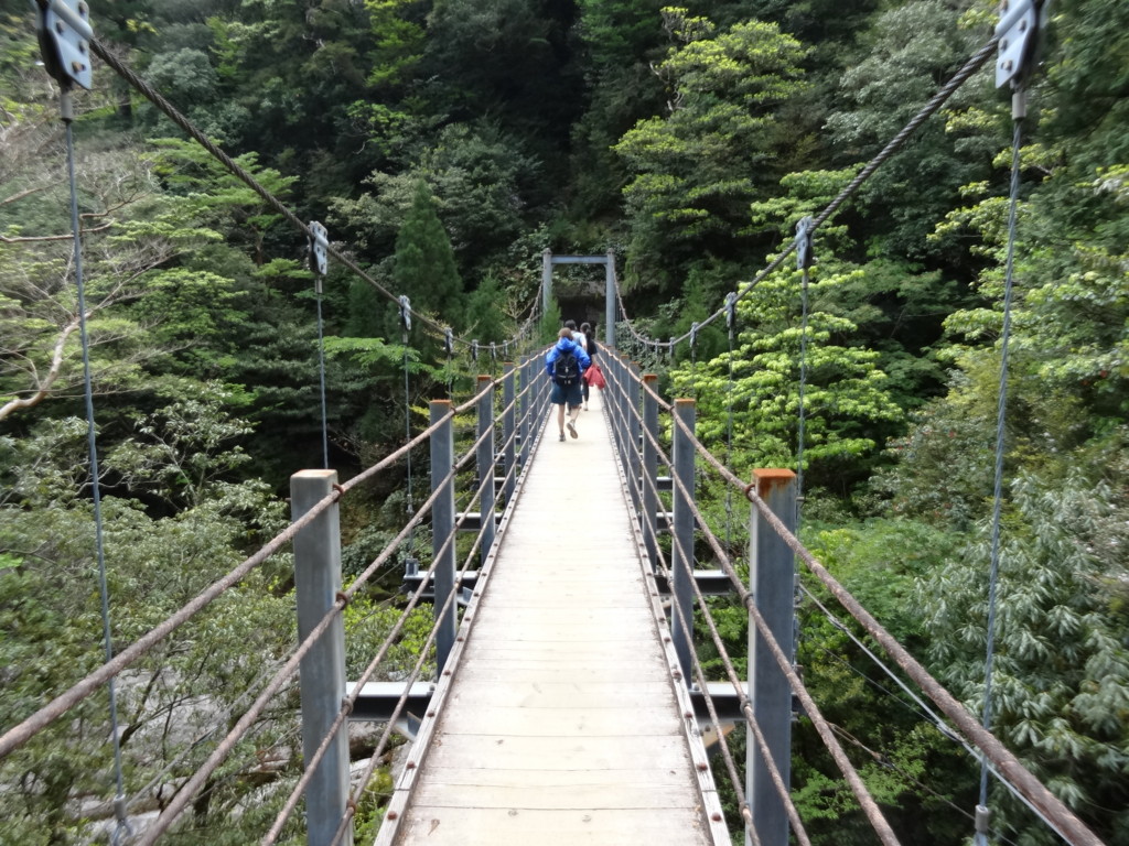 初めての屋久島は刺し身と「水曜どうでしょう」で魚介三昧…屋久島1日目 - しんとれいのワインな日々