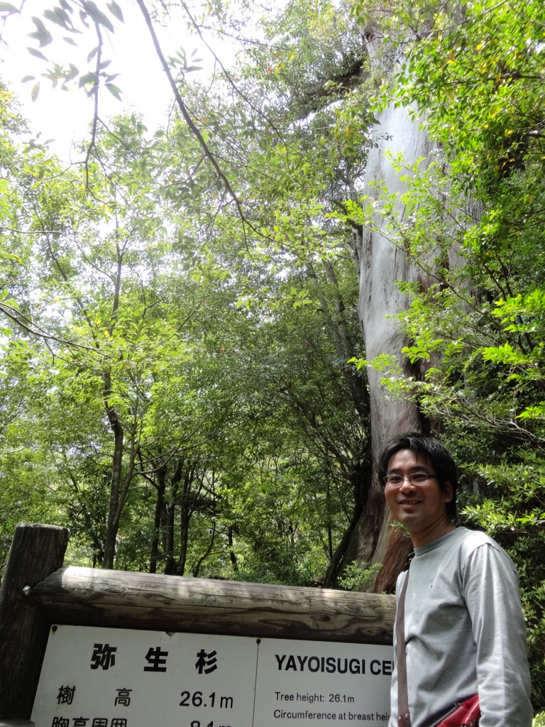 初めての屋久島は刺し身と「水曜どうでしょう」で魚介三昧…屋久島1日目 - しんとれいのワインな日々