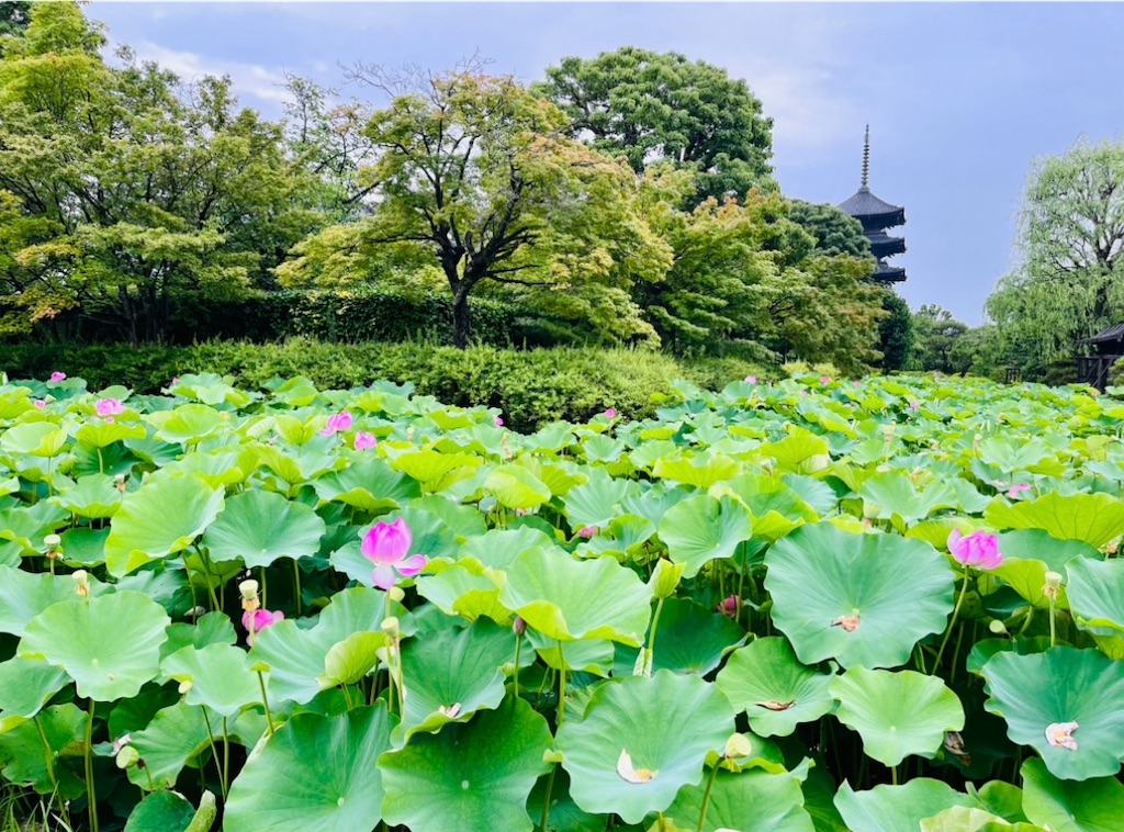 AIあれこれ - colors - shiro's note