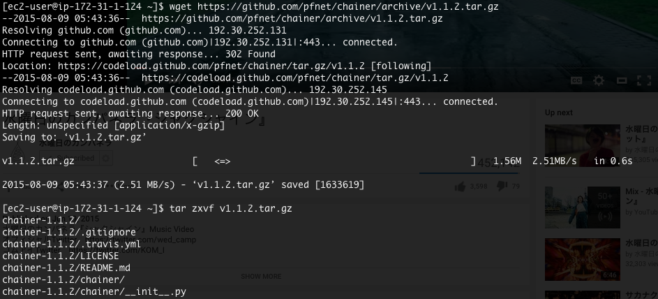 （古い記事）EC2のGPUインスタンスにChainerを5行で入れて4行で動かす - 随所に主と作れば、立処皆真なり