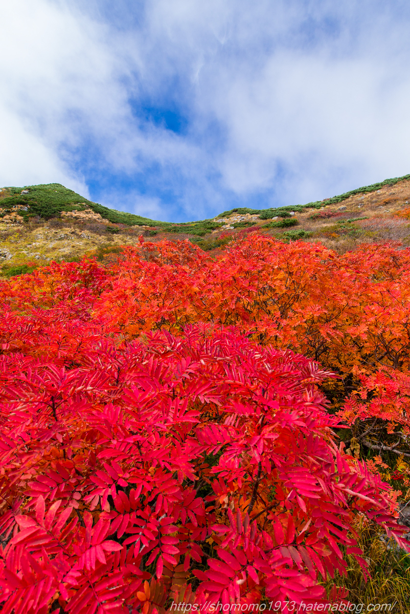 鮮やか！ - 続・非日常的な世界を求めて