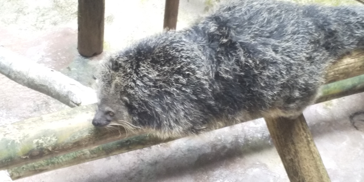のいち動物公園。 - shoshoo’s blog