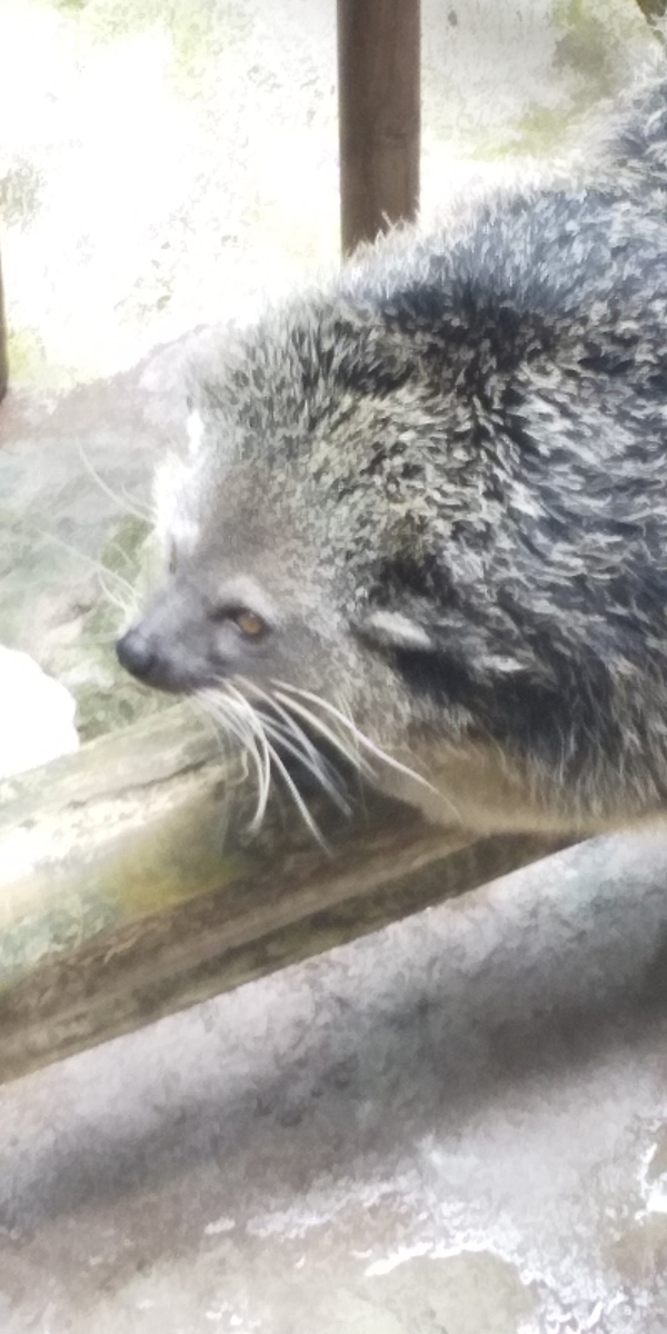 のいち動物公園。 - shoshoo’s blog