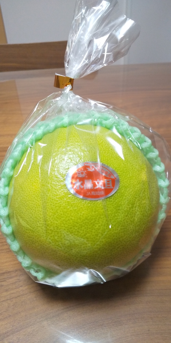 最後の試合。 - shoshoo’s blog