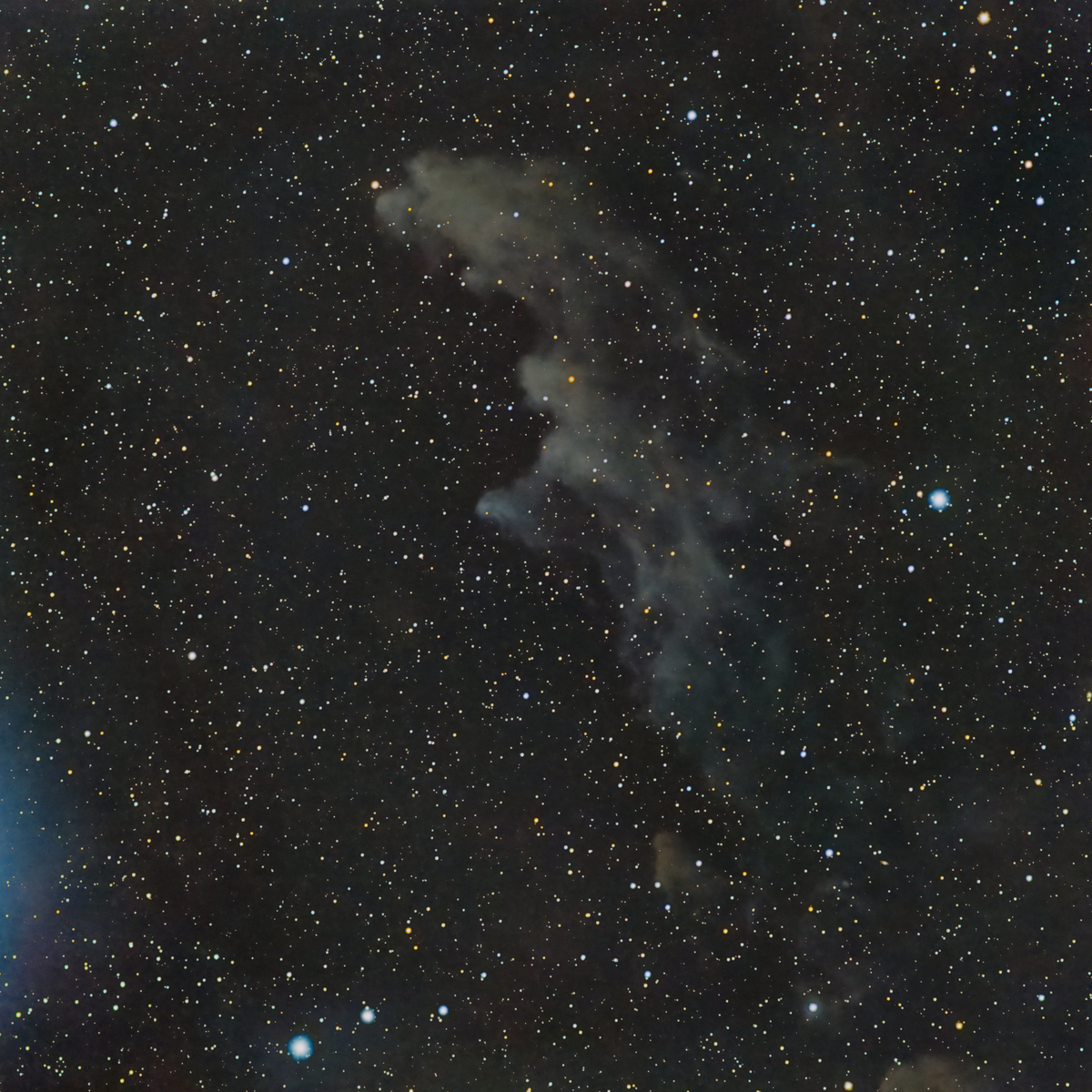 魔女の横顔星雲IC2118が写った！ - ぐうたら星撮り記