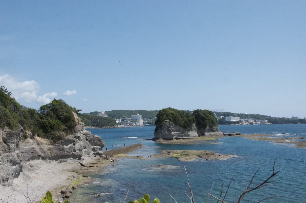 Mr. Kumagusu Minakata（南方熊楠） - A personal blog of ADACHI Shun
