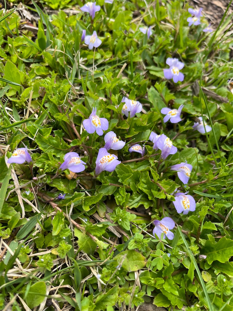 【軽井沢】②タリアセン - Silk’s 旅diary