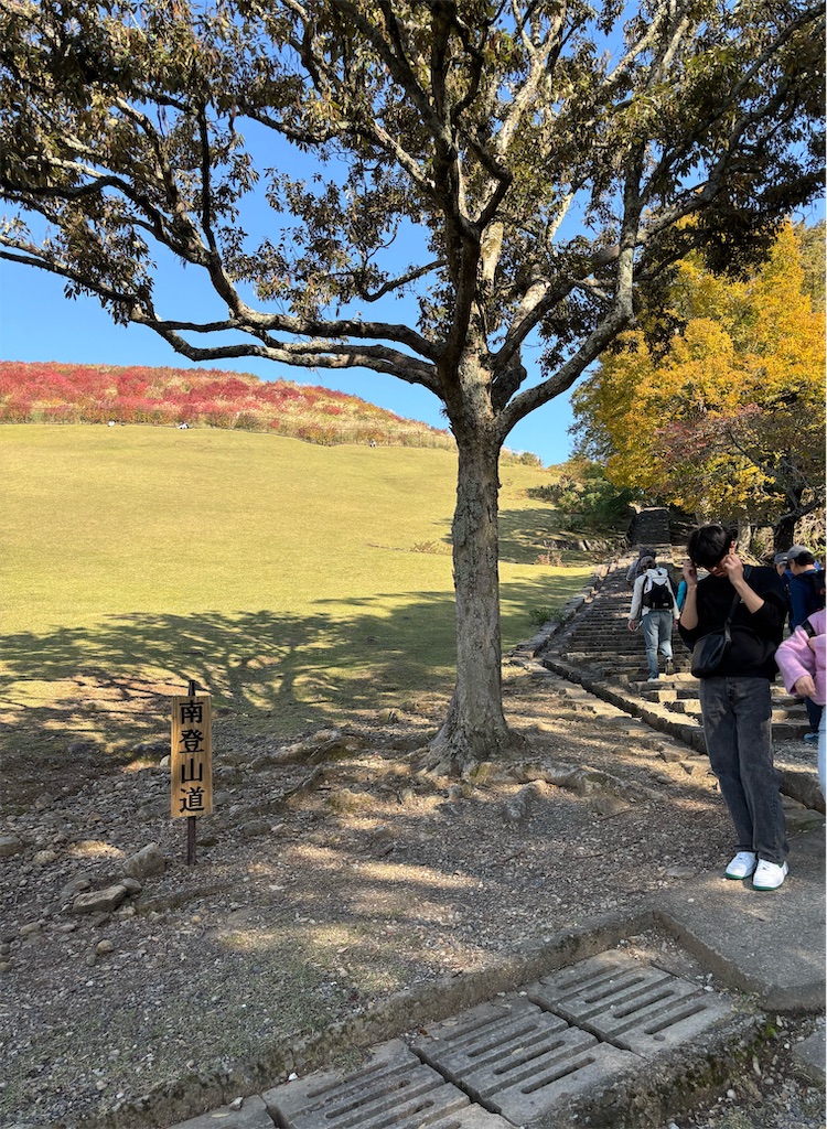 【奈良】②若草山 - Silk’s 旅diary