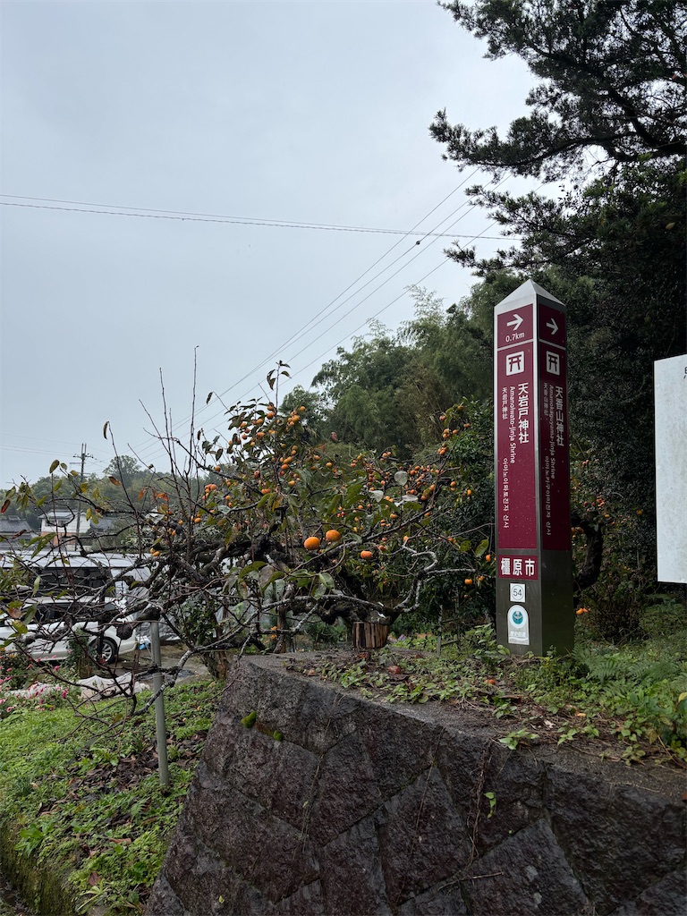 【奈良】⑥大和三山と藤原京 - Silk’s 旅diary