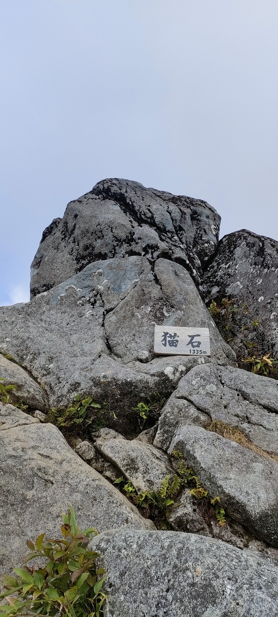 【新うつくしま百名山】2か月ぶりの山登り。猫魔ヶ岳（1,404m）に登った話。【猫石まで縦走】 - ☆tsune☆のぶろぐ