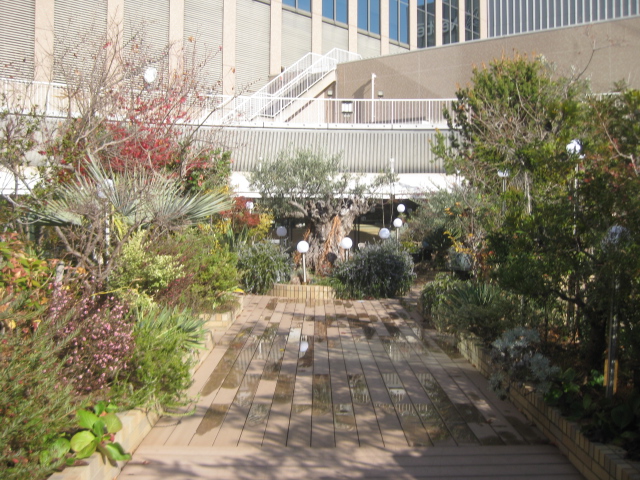 神戸喫茶店巡り 元町ベア そして喫茶エデン 閉業 - バイクで遠足しませんか
