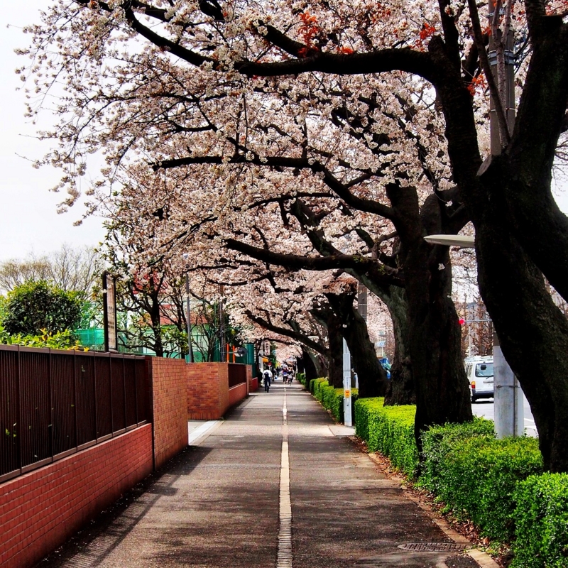 Moment of spring storm - 俺が俺の為に勝手に書きなぐる場所