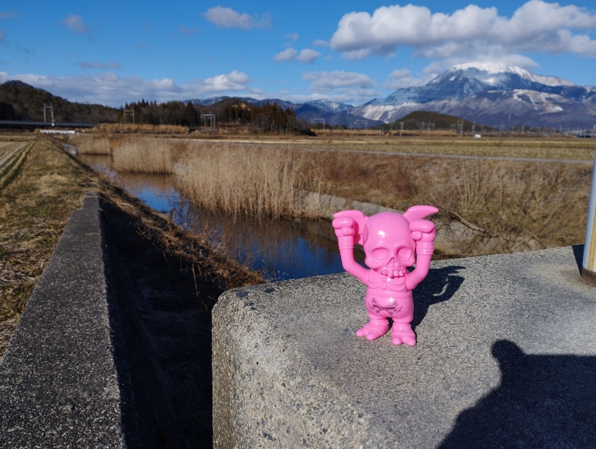 SOFVI PHOTOWALK Vol.5-ソフビを持って散歩する - smogbom