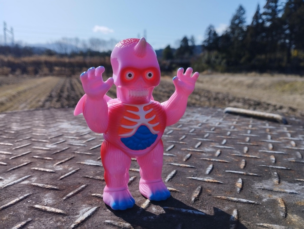 SOFVI PHOTOWALK Vol.5-ソフビを持って散歩する - smogbom