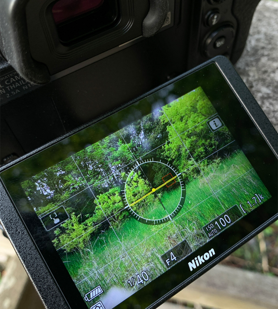 Z7II review - color test vs Z5 & EOS R5 - snowfallのメモ帳