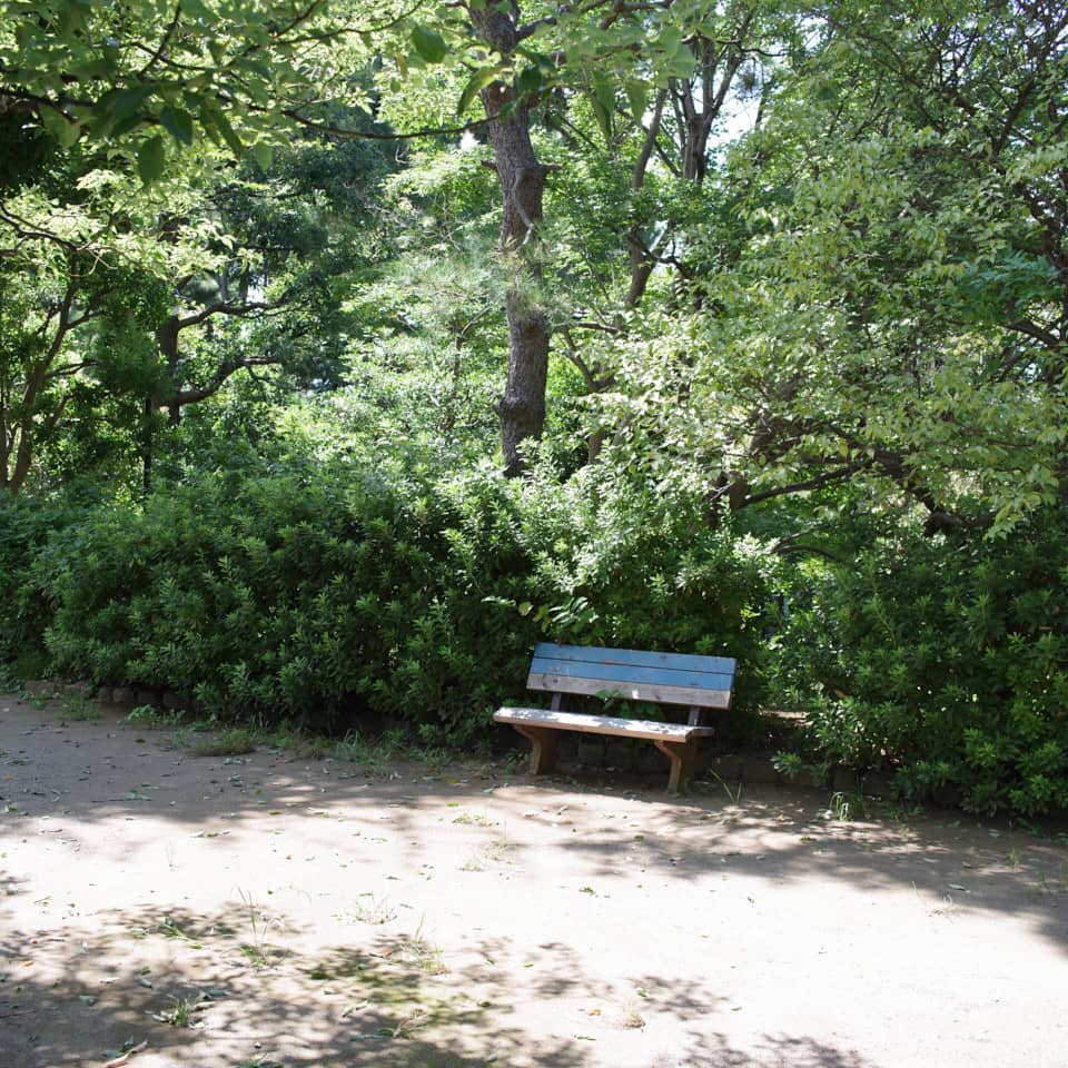 HD PENTAX-DA 35mmF2.8 Macro LimitedをK-1MarkⅡに装着。「1:1」のクロップで真四角写真を撮ってみた。 - どこかの風景