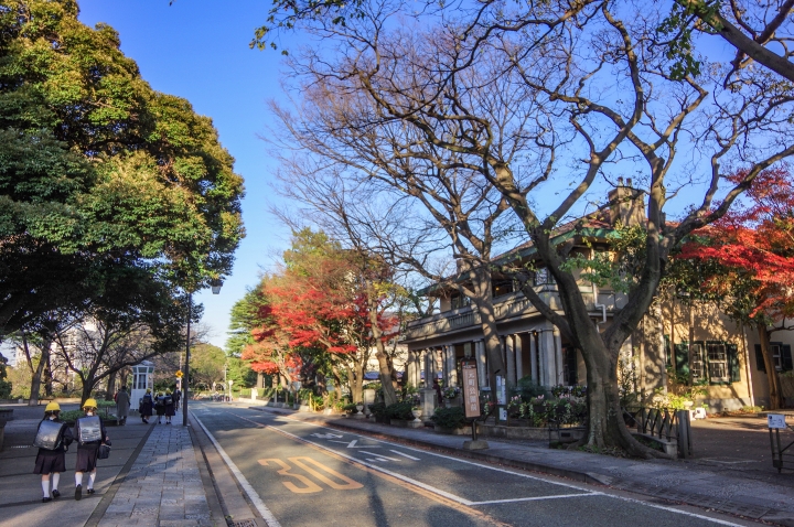 Yamate Bluff - PEACE IN TIME