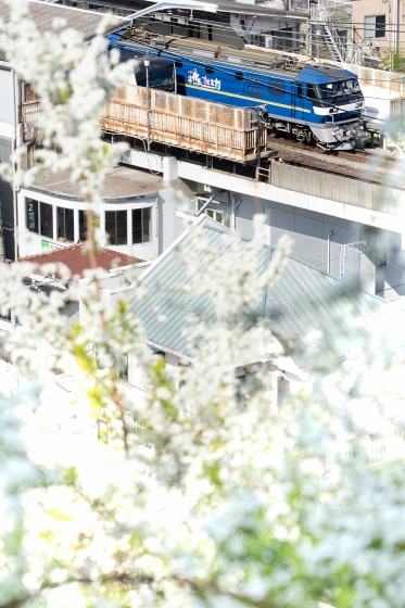 8584レ 雪柳 - 横浜鉄道写真館