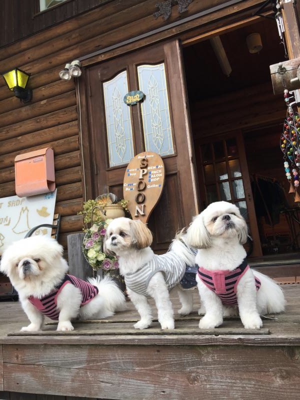 2016年新春1月spoonレンタルスペースイベント案内 - お洋服&コミュニティハウスspoonstyle’s☆mika diary