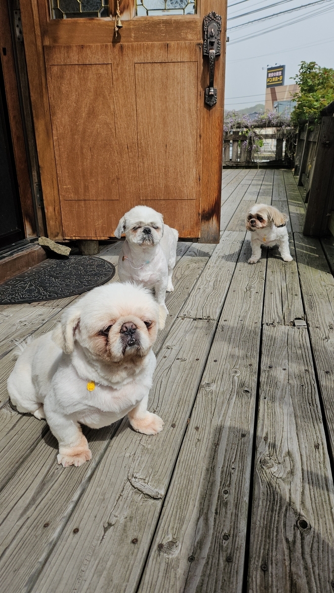 𝕊𝕡𝕠𝕠𝕟 𝕤𝕥𝕪𝕝𝕖 22th Anniversary♥️ - お洋服&コミュニティハウスspoonstyle’s☆mika diary