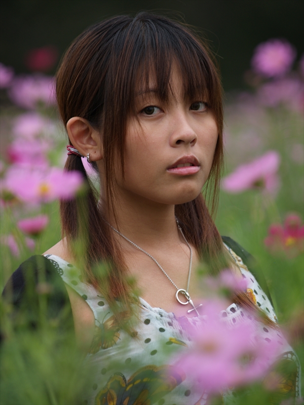 苦い思い出ですけれど - sppc666のブログ