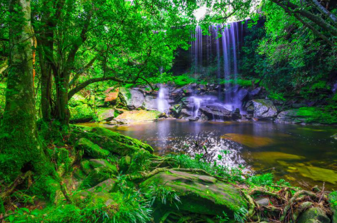 プー・クラドゥン国立公園（ルーイ県）：絶景のインスタ映えスポットを訪れよう - シラチャ進出・不動産投資