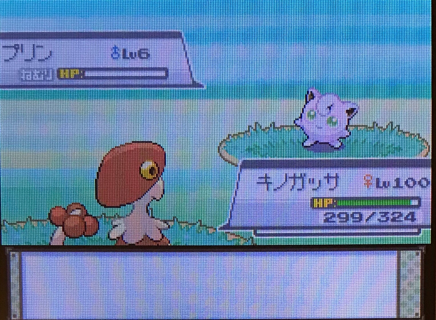 【HGSS】ID(0-5メロボ)乱数・初メロボ乱数・その他野生乱数 - カンスト勢のポケモン録