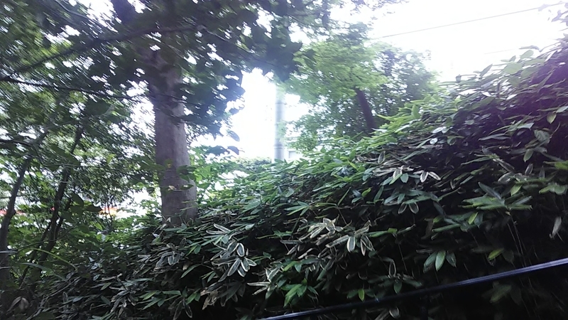 五島美術館「館蔵 近代の日本画展 Modern Japanese Paintings from the Gotoh Museum ...