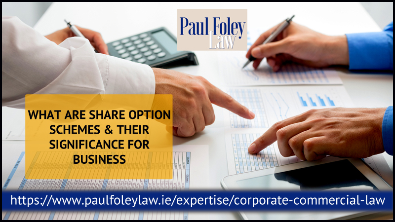 What are share Option Schemes & their Significance for Business ...