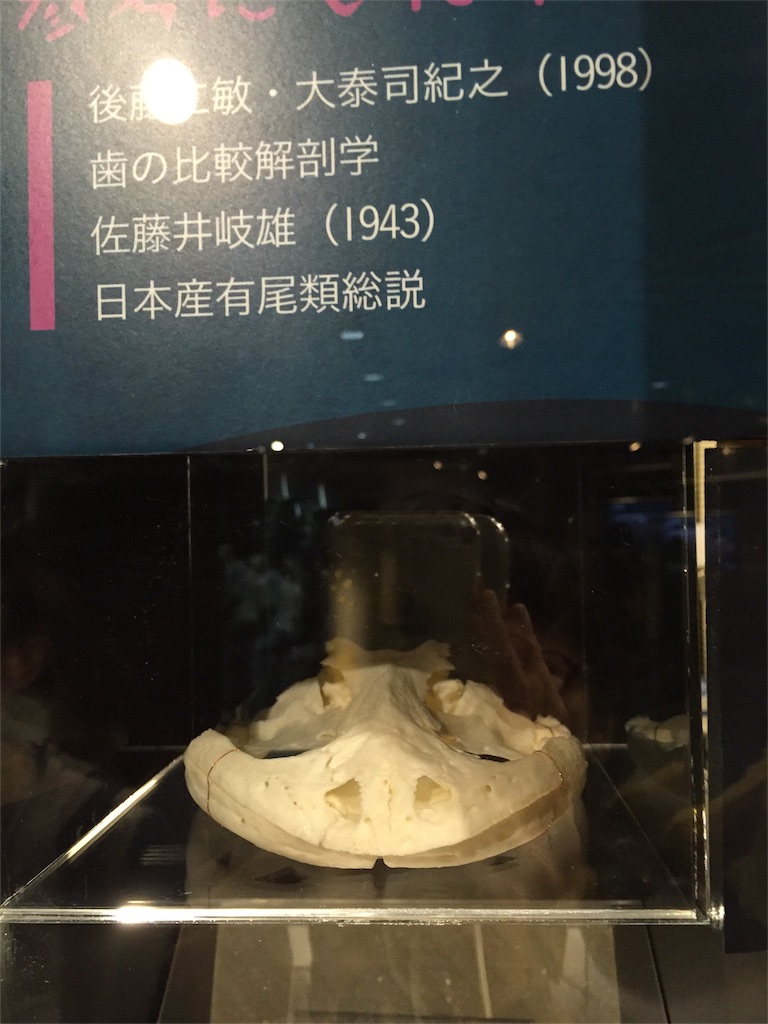 清流の王様登場！ - さぶろぐ